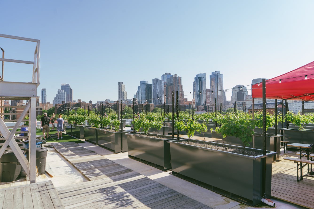 The 13 Best Rooftop Bars In NYC - New York - The Infatuation