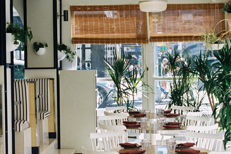 Primo’s - Tribeca - New York - The Infatuation