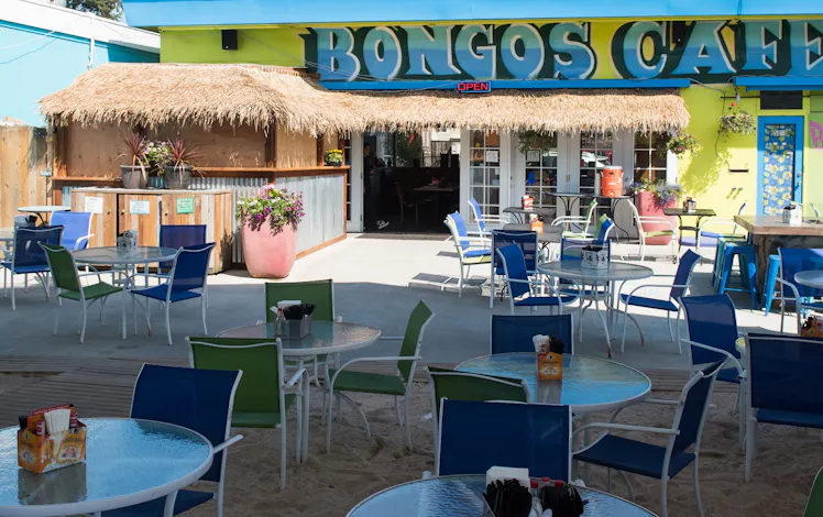 Bongos - Green Lake - Seattle - The Infatuation