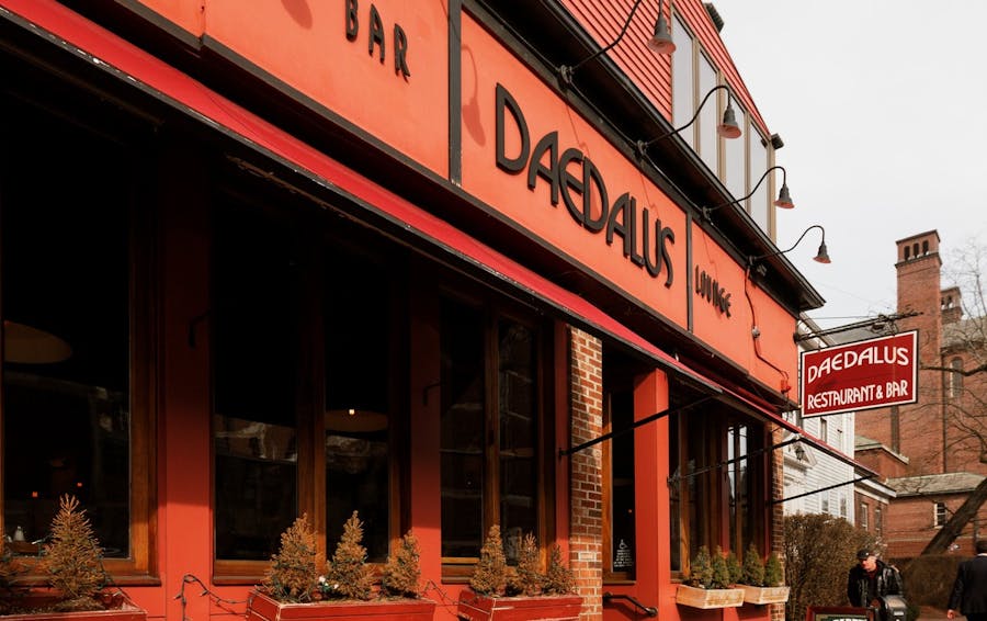 Daedalus - Boston - The Infatuation