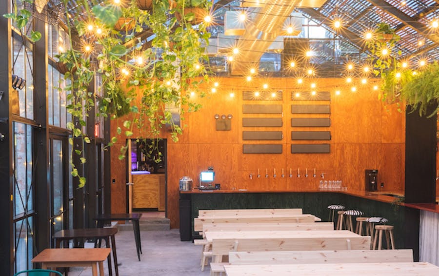 Evil Twin Brewing NYC - Ridgewood - New York - The Infatuation