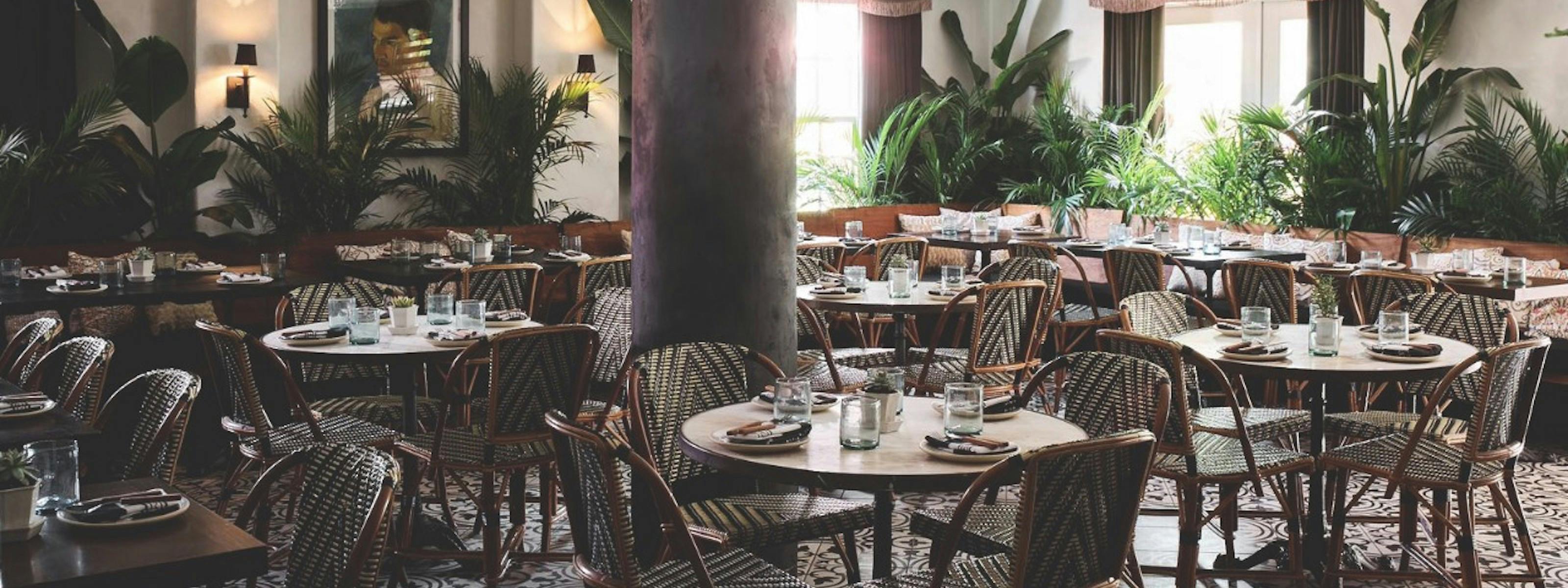 Gitano - Miami Beach - Miami - The Infatuation