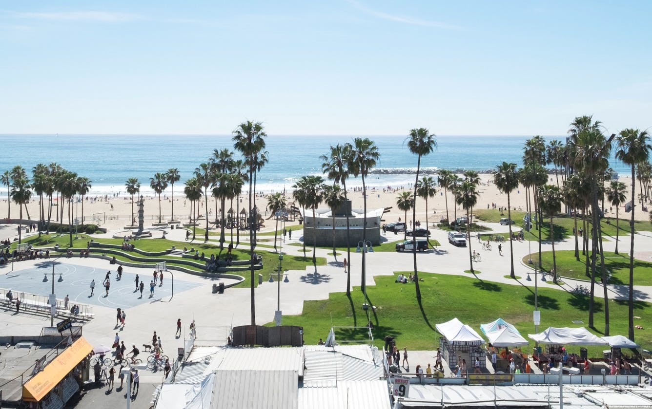 High Rooftop Bar at Hotel Erwin - Venice - Los Angeles - The Infatuation