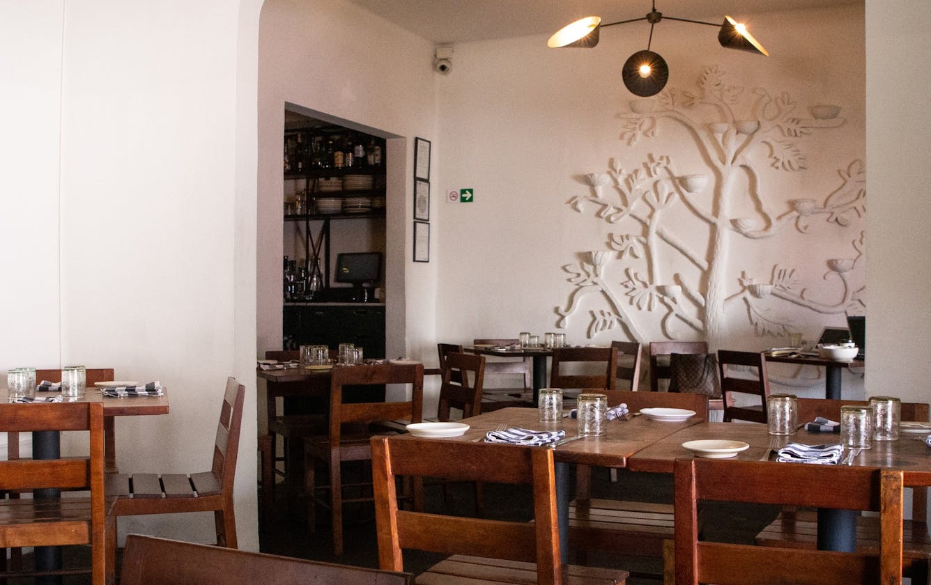 Máximo Bistrot Local - Roma - Mexico City - The Infatuation