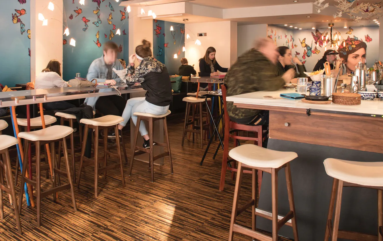 Oyamel Cocina Mexicana - Penn Quarter - Washington DC - The Infatuation