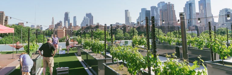 Rooftop Reds - DUMBO - New York - The Infatuation