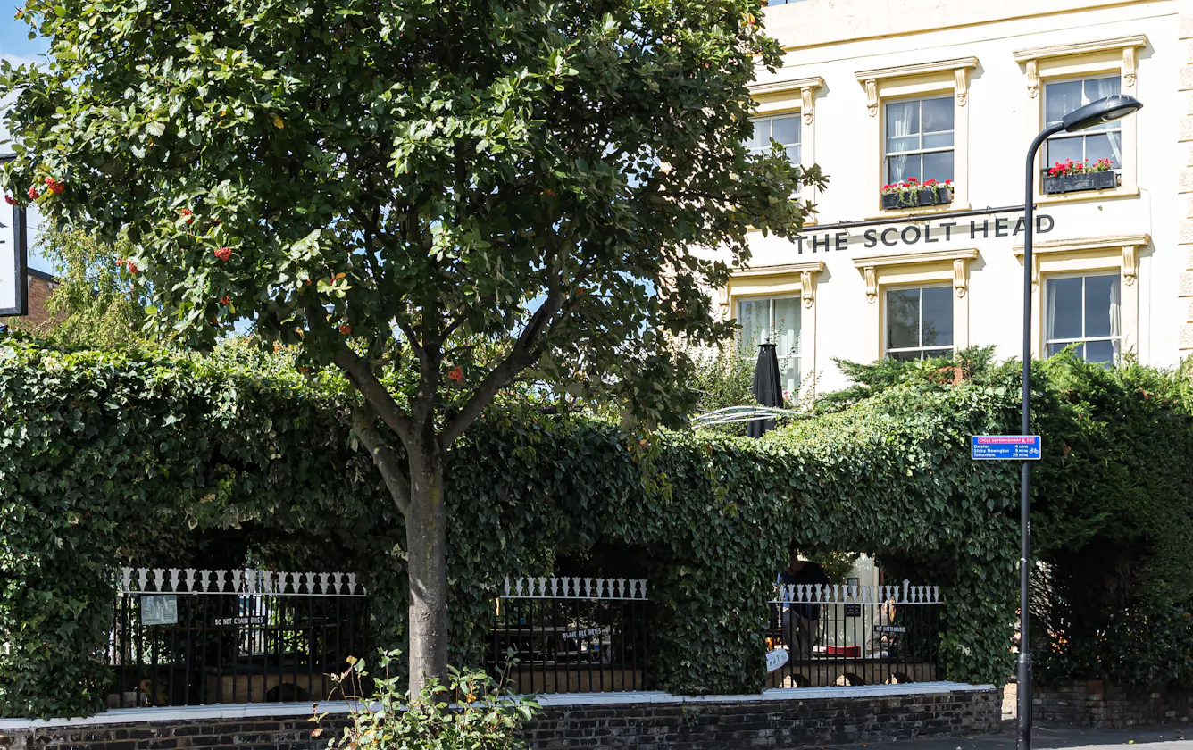 The Scolt Head - De Beauvoir - London - The Infatuation